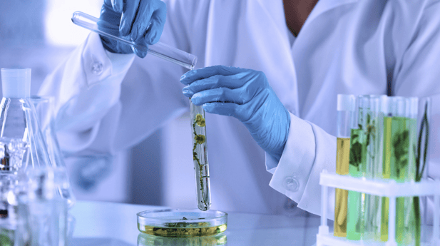 Making Sustainability a Habit: Exclusive Interview with Joydeep Ganguly ...